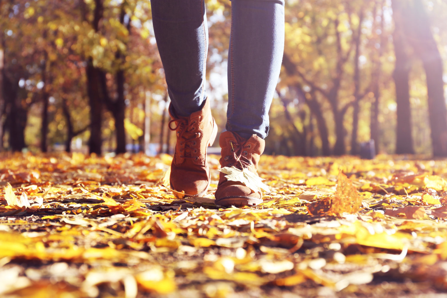 goKP Walktober – KP Wellness University