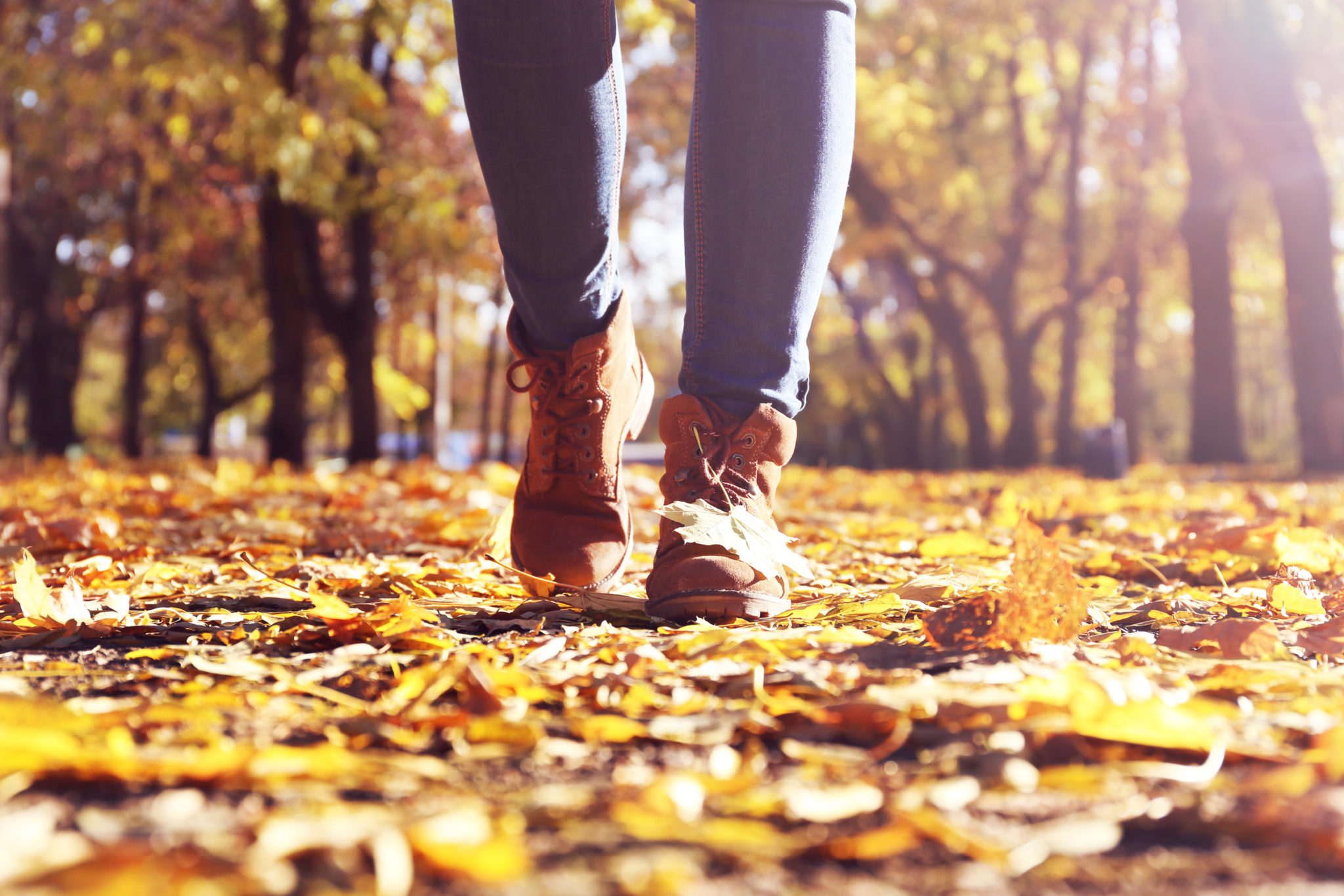 goKP Walktober – KP Wellness University